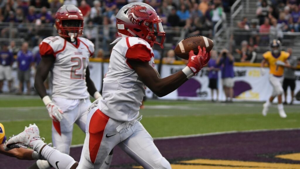 Profiles of Prominent Native American NFL Players - ticketspread